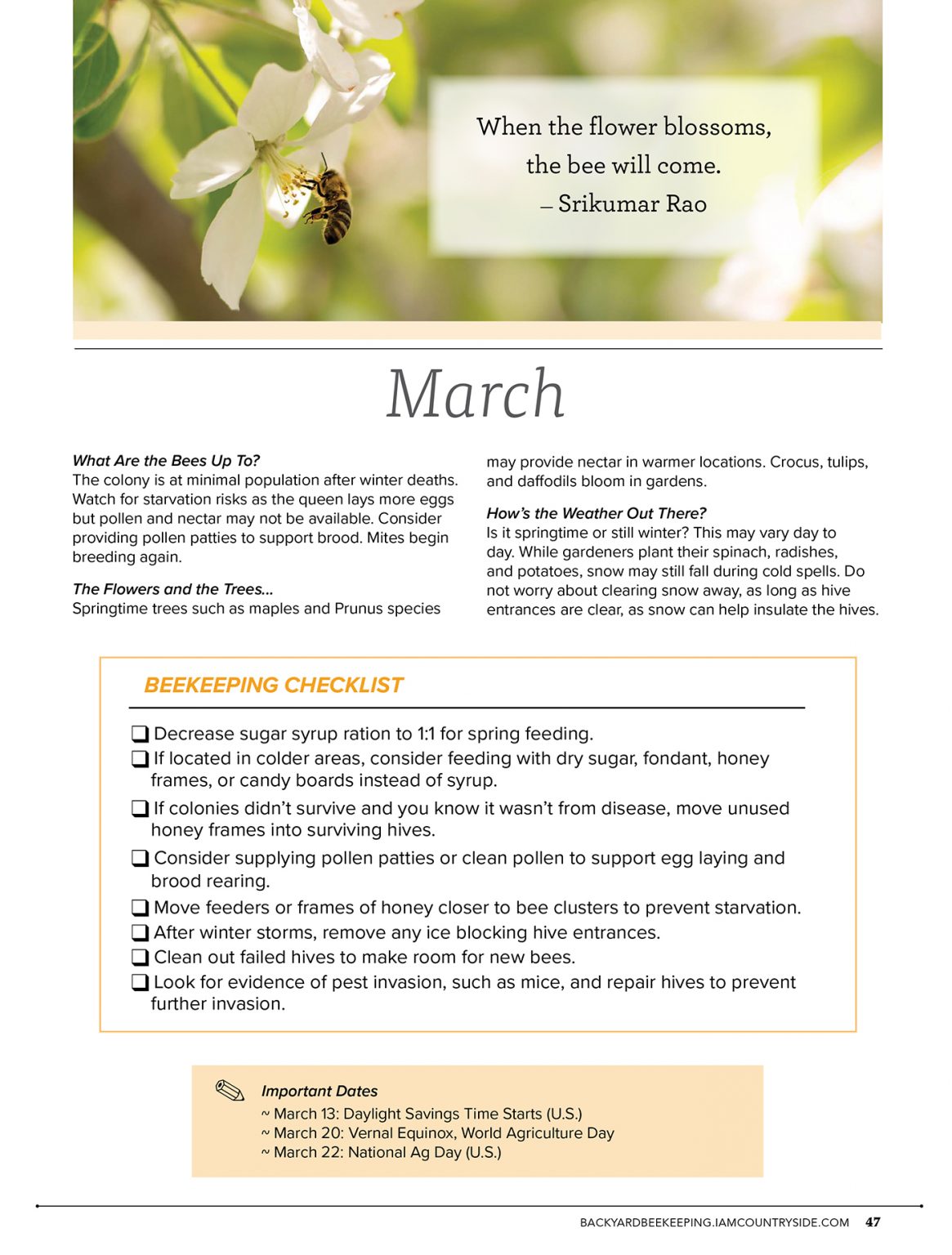Beekeeping Calendar February/March - Backyard Beekeeping
